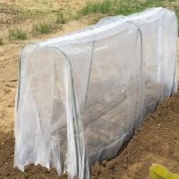 China 10x50m Plastic Insect Mesh Cover For Plant And Fruit Tree Net Cover for sale