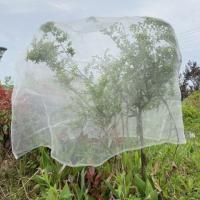 China Vegetables And Fruit Tree Netting Bags Cover For Recycle Ultra fine for sale