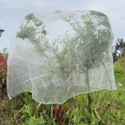 China Vegetables And Fruit Tree Netting Bags Cover For Recycle Ultra fine for sale