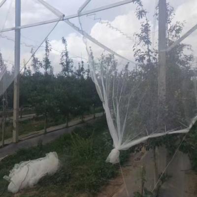 China White Orchard Hail Netting For Gardens Offering  Hail And Weather Protection for sale