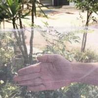 China Outdoor Plastic Anti Mosquito Window Screen For Extending Lifespan And Environmental Compatibility for sale