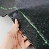 China Eco Friendly PE Material Weed Barrier Fabric For 5 Years for sale