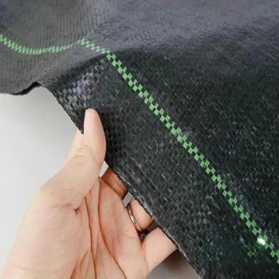 China Eco Friendly PE Material Weed Barrier Fabric For 5 Years for sale