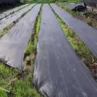 China High Tensile Strength Weed Barrier Fabric Dual Functions For Weed Control for sale