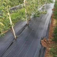 China PP Material Garden Weed Barrier Fabric With 90g/M2 for Vegetable for sale