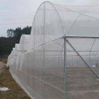 China 3x15m HDPE Mosquito Window Screen Used In Greenhouse Garden for sale