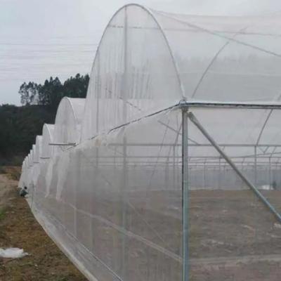 China 3x15m HDPE Mosquito Window Screen Used In Greenhouse Garden for sale