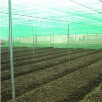 China PE And Fiberglass mosquito screen Roll In Greenhouse Garden Insect Net Roll for sale