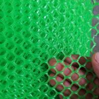 China PE Green Plastic Fencing Roll For Farm Chicken Fencing Plastic Flat Netting for sale