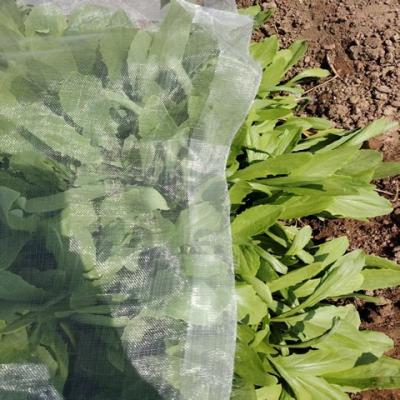 China Breathable Mesh Mosquito Window Screen Allows Fresh Air And Natural Light for sale