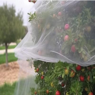 China PE L Sewing Breathable Drawstring Plastic Garden Net Bags For Fruits Vegetables for sale