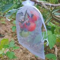 China Transparent And Flexible Plastic Insect Netting Bags In Home Supermarket for sale