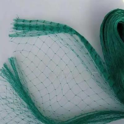 China Lightweight Anti Bird Net For Orchards Gardens Fruit Orchard Netting for sale