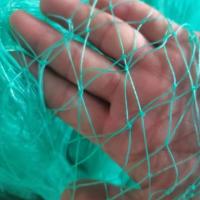 China Seamless Borderlines Anti Bird Net With Good Materials And Various Mesh Sizes for sale