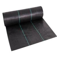 China Black Ground Cover Fabric For Garden Bed Cover And Orchard for sale
