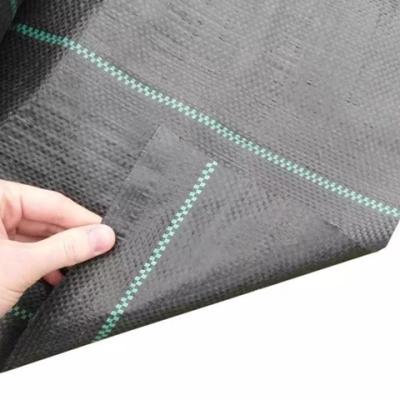 China Agricultural Weed Barrier Fabric For Anti Grass Ground Cover Cloth For Sale for sale