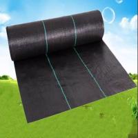 China PP And PE Material Garden Ground Cover For Weeds Anti Grass Weed Control Cloth for sale