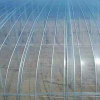 China Transparent Plastic Mulch Film Agriculture 2-20m Width Allowing Maximum Light Transmission for sale