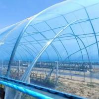 China High Strength Plastic Agricultural Film Offering Excellent UV Resistance for sale