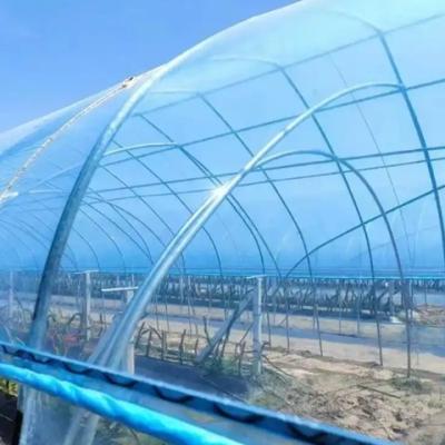 China High Strength Plastic Agricultural Film Offering Excellent UV Resistance for sale