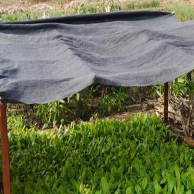 China Agriculture Shade Net HDPE Material For Garden And Greenhouse Plants Sun Shade Netting for sale