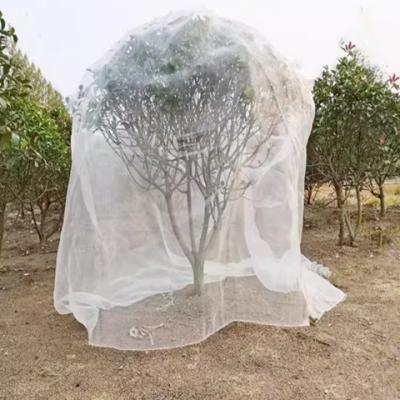 China Fine Mesh Garden Netting Anti Bird And Insect For Garden Protection for sale