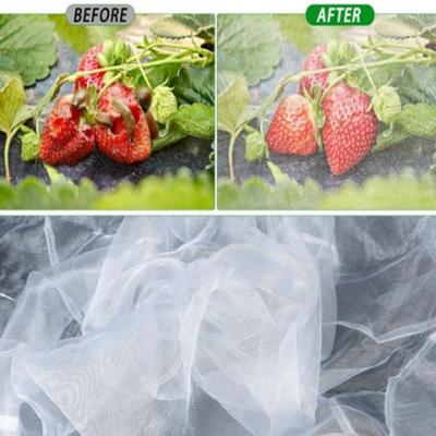 China Durable And UV Resistant Garden Insect Protection Netting For Plants from Birds for sale