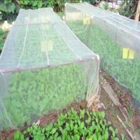 China HDPE UV Garden Netting Greenhouse Agricultural Grapes Gardens for sale