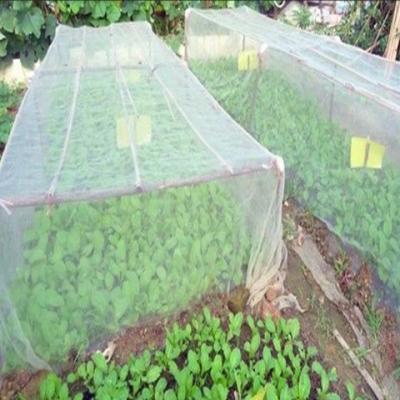 China HDPE UV Garden Netting Greenhouse Agricultural Grapes Gardens for sale