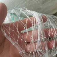 China Ageing Resistance Anti Bird Netting For Vegetable Plants And Fruit Trees for sale