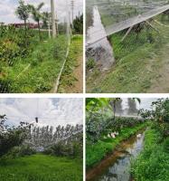 China UV Resistant Anti Bird Net for Fruit Trees Vineyards Bird Proof Crop for sale