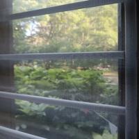 China High Strength Mosquito Window Screen For Vegetables Protection And Pest Defense for sale