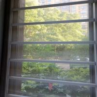 China UV Resistant Green Or Blue Mosquito Window Screen Anti Fly For Outdoor for sale