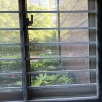 China Transparent Anti Mosquito Window Screen For Agriculture Greenhouse for sale