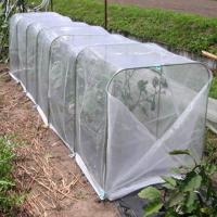 China 50 Mesh Plastic Screen  For Agriculture And Greenhouse for sale