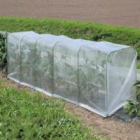 China 50 Mesh Plastic Screen  For Agriculture And Greenhouse for sale