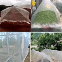 China White Color Fine Garden Netting For Vegetables And Plants for sale