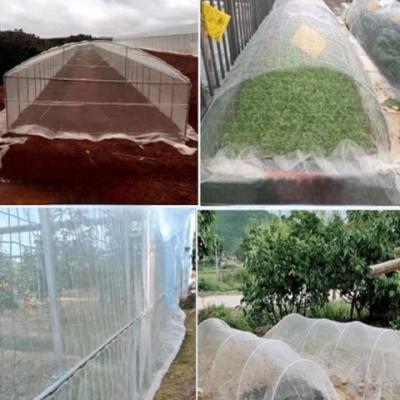 China White Color Fine Garden Netting For Vegetables And Plants for sale