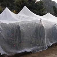 China 40 Mesh Plastic Insect Screen  For Vegetables And Fruits for sale