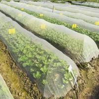 China 50 Mesh PE Garden Netting For Vegetables Fruit Trees Protection for sale