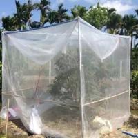 China White color PE material Garden Netting anti mosquito and bug for sale