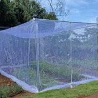 China Anti Insect Net 50x25 Mesh For Agriculture Greenhouse Protection for sale