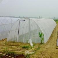 China 3m Width HDPE Garden Netting Providing Protection for Vegetables Fruits and Flowers for sale