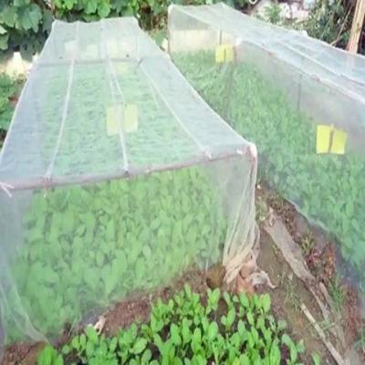 China Plastic Garden Netting For Plant Vegetables And Fruits for sale