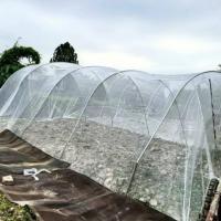 China High Density PE With UV Insect Mesh Net For Protection Of Fruits Flowers And Plants Outdoors for sale