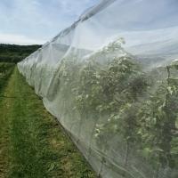 China 50 Mesh Garden Netting For Vegetable Fruits Flowers for sale