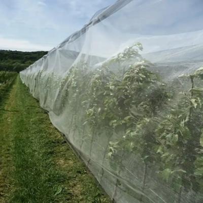 China 50 Mesh Garden Netting For Vegetable Fruits Flowers for sale
