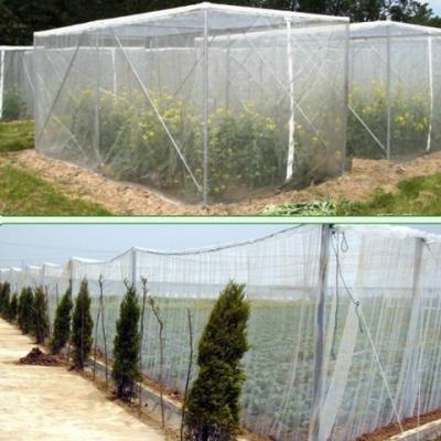 China Greenhouse Garden Netting For Agriculture Accessories for sale