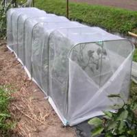China Plastic Mesh  Insect Screen Net For Vegetables And Fruits for sale