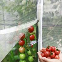 China Heavy Duty Insect Screen Custom Width Length Mesh For Greenhouse Anti Bug Plant Cover Net for sale